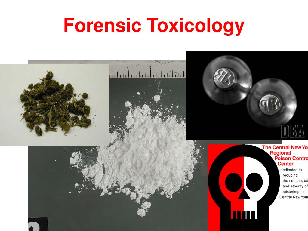 PPT - Forensic Toxicology PowerPoint Presentation, free download - ID ...
