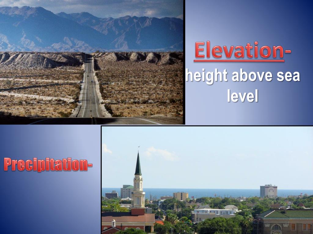 PPT - Elevation - PowerPoint Presentation, free download - ID:7021100