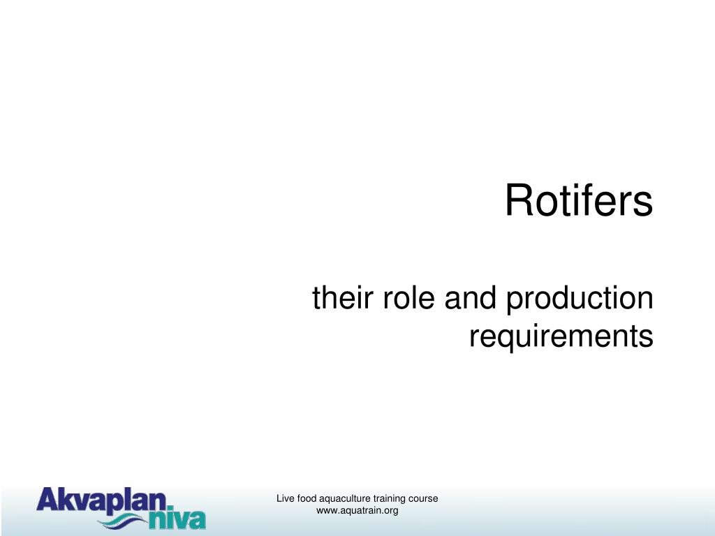 PPT - Rotifers PowerPoint Presentation, free download - ID:7021463