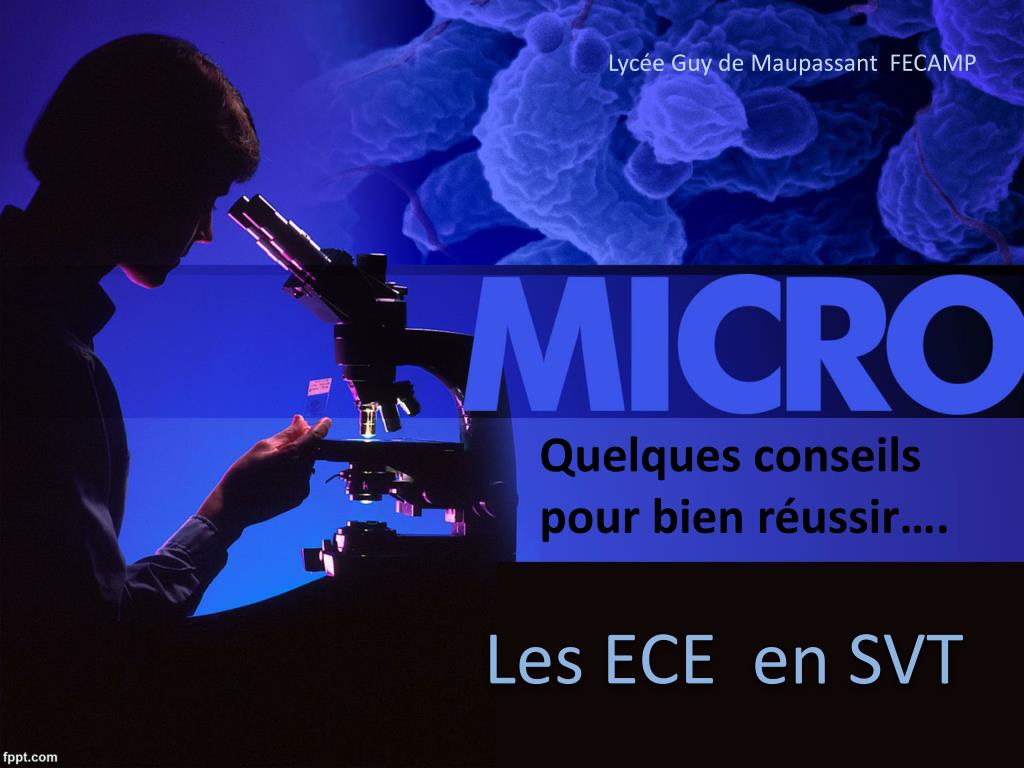 PPT - Les ECE en SVT PowerPoint Presentation, free download - ID:7022431