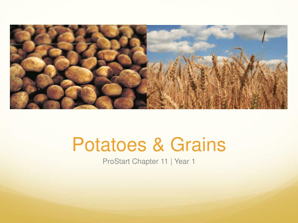 PPT - Potatoes & Grains PowerPoint Presentation, free download - ID:7023694