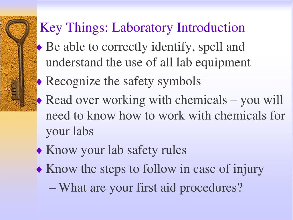 PPT - Key Things: Laboratory Introduction PowerPoint Presentation, free ...