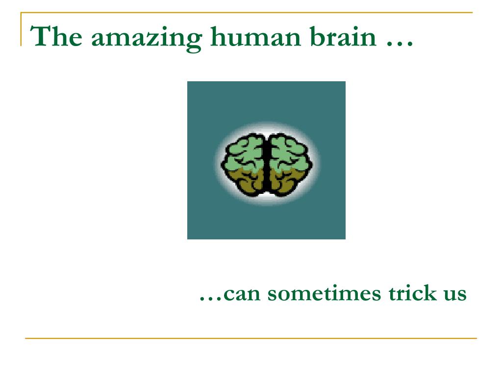 PPT - The amazing human brain … PowerPoint Presentation, free download ...