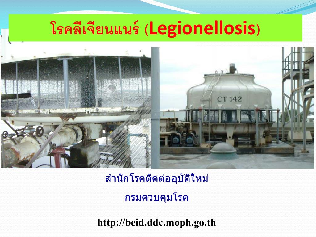 PPT - โรคลีเจียนแนร์ ( Legionellosis ) PowerPoint Presentation - ID:7025629