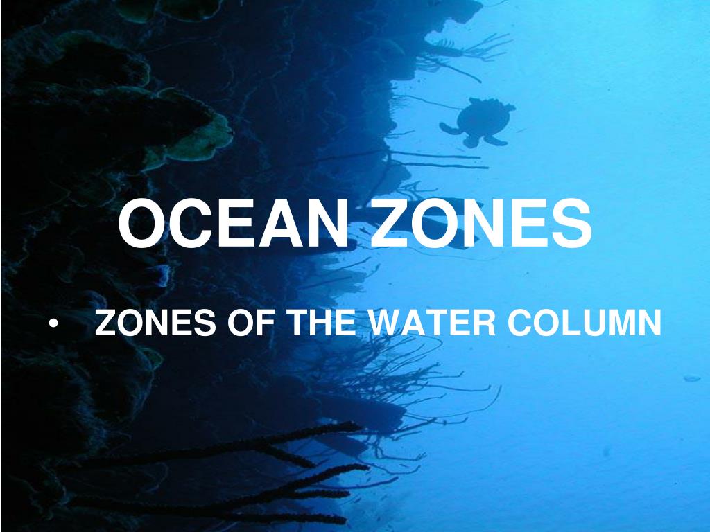 PPT - OCEAN ZONES PowerPoint Presentation, free download - ID:7030817