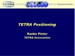 PPT - Tetra Pack Juice PowerPoint Presentation, free download - ID:1401870
