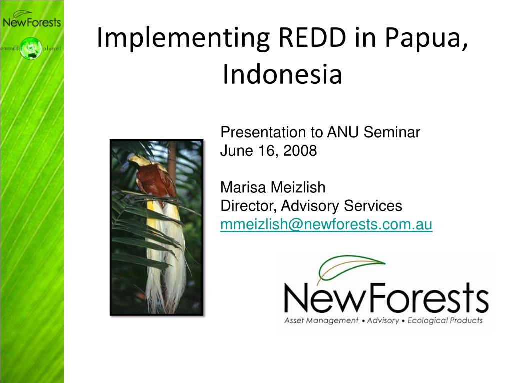 PPT - Implementing REDD in Papua, Indonesia: New Forests Presentation ...