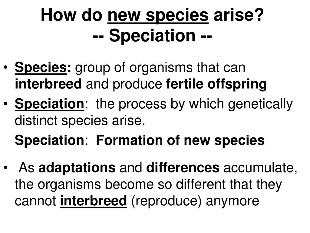 PPT - How do new species arise? -- Speciation -- PowerPoint ...