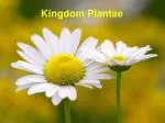 PPT - KINGDOM PLANTAE PowerPoint Presentation, free download - ID:226619