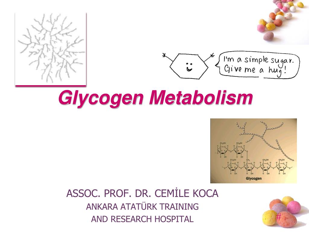 PPT - Glycogen Metabolism PowerPoint Presentation, free download - ID ...