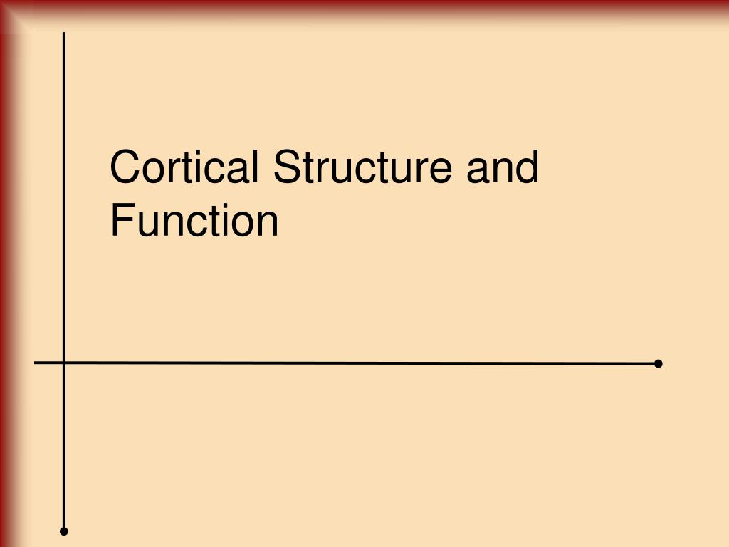 PPT - Cortical Structure and Function PowerPoint Presentation, free ...