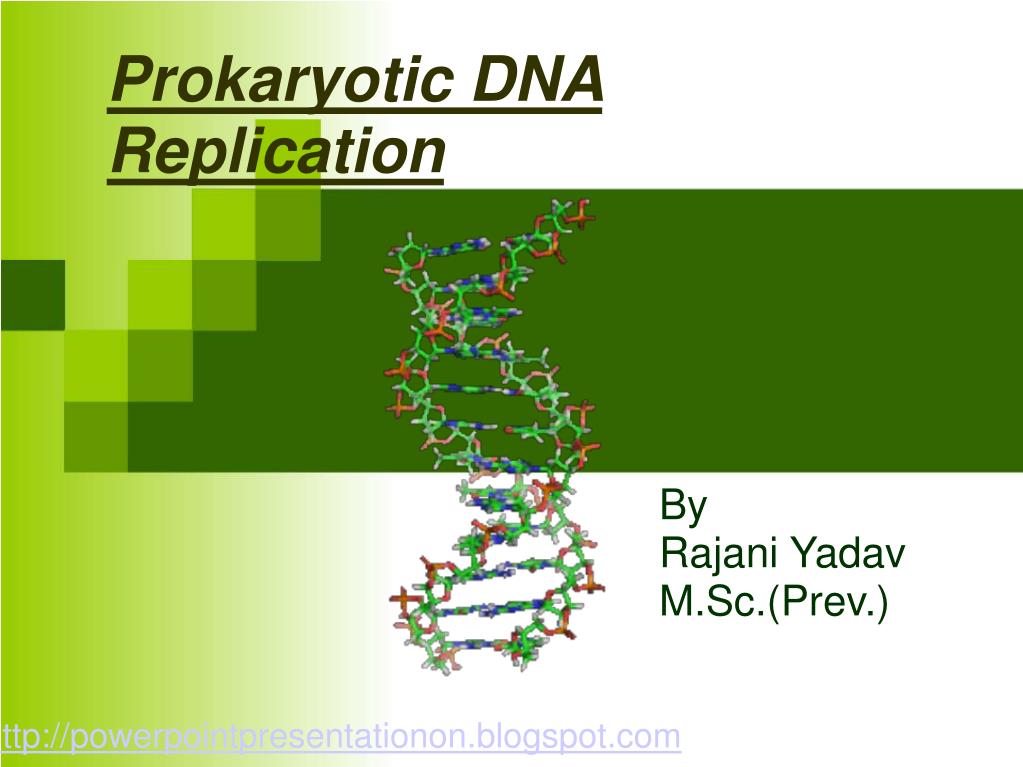 PPT - Prokaryotic DNA Replication PowerPoint Presentation, free ...