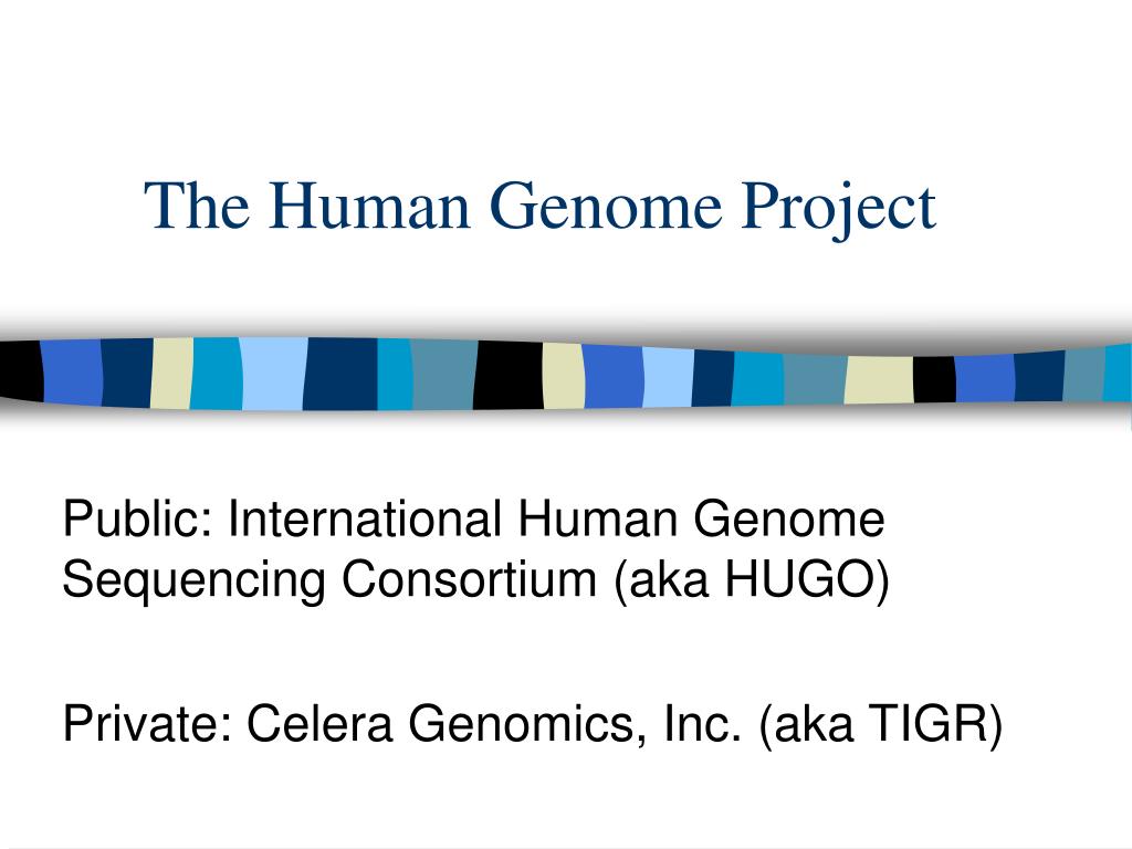 PPT - The Human Genome Project PowerPoint Presentation, free download ...