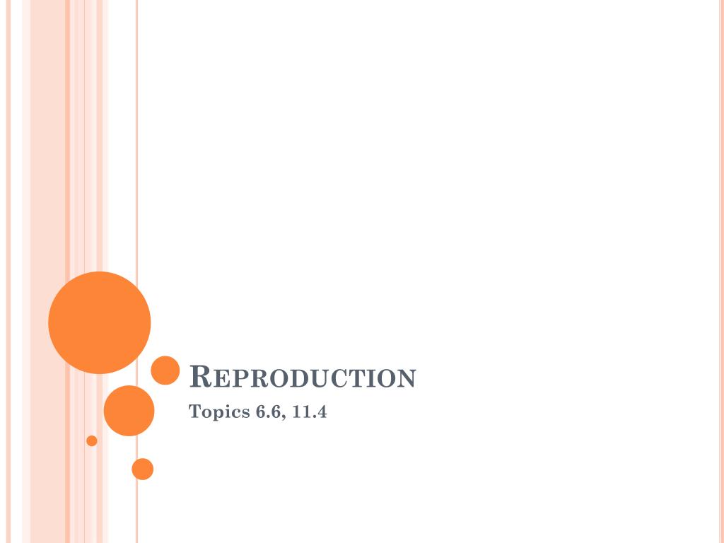 PPT - Understanding Human Reproduction: Male and Female Systems ...