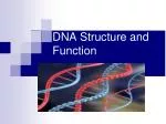 PPT - DNA Structure and Function PowerPoint Presentation, free download ...