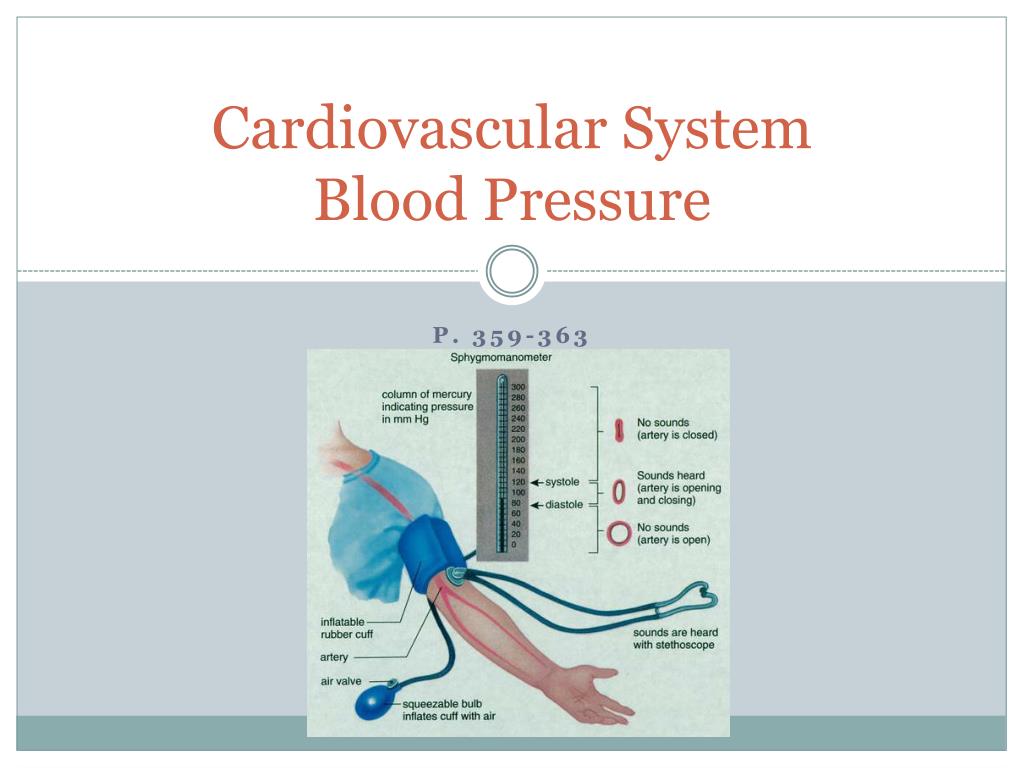 PPT - Cardiovascular System Blood Pressure PowerPoint Presentation ...