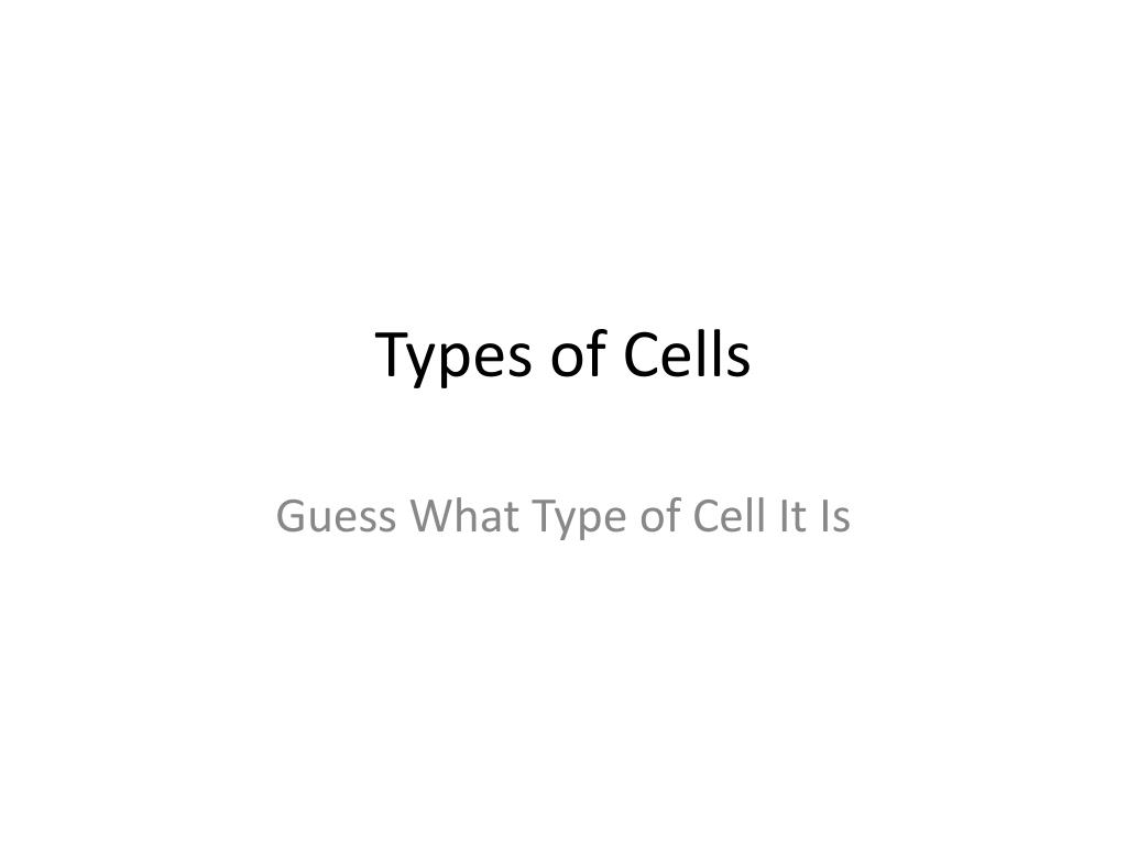 PPT - Types of Cells PowerPoint Presentation, free download - ID:7057067