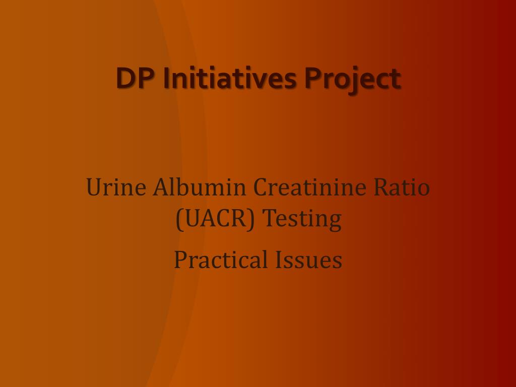 PPT - DP Initiatives Project PowerPoint Presentation, free download ...