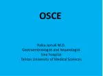 PPT - osce PowerPoint Presentation, free download - ID:1861866