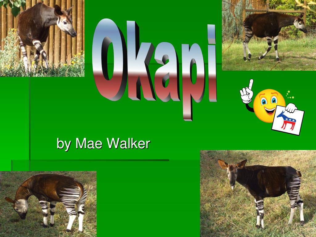 PPT - by Mae Walker PowerPoint Presentation, free download - ID:7063205