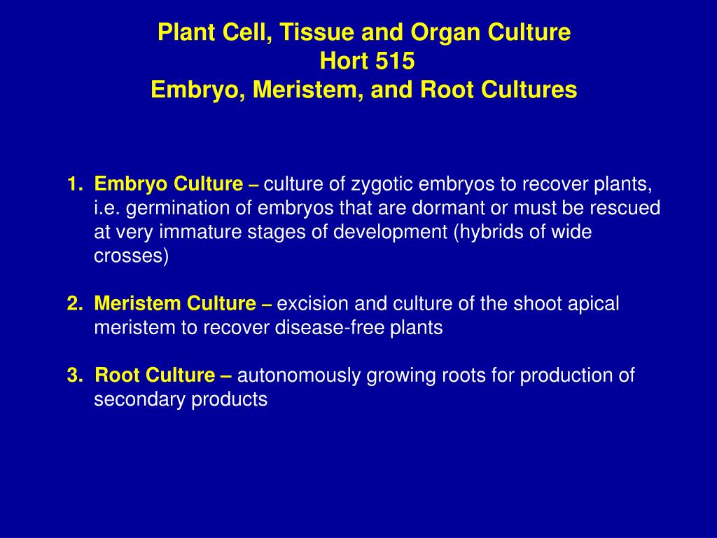 PPT - Plant Cell, Tissue and Organ Culture Hort 515 Embryo, Meristem ...