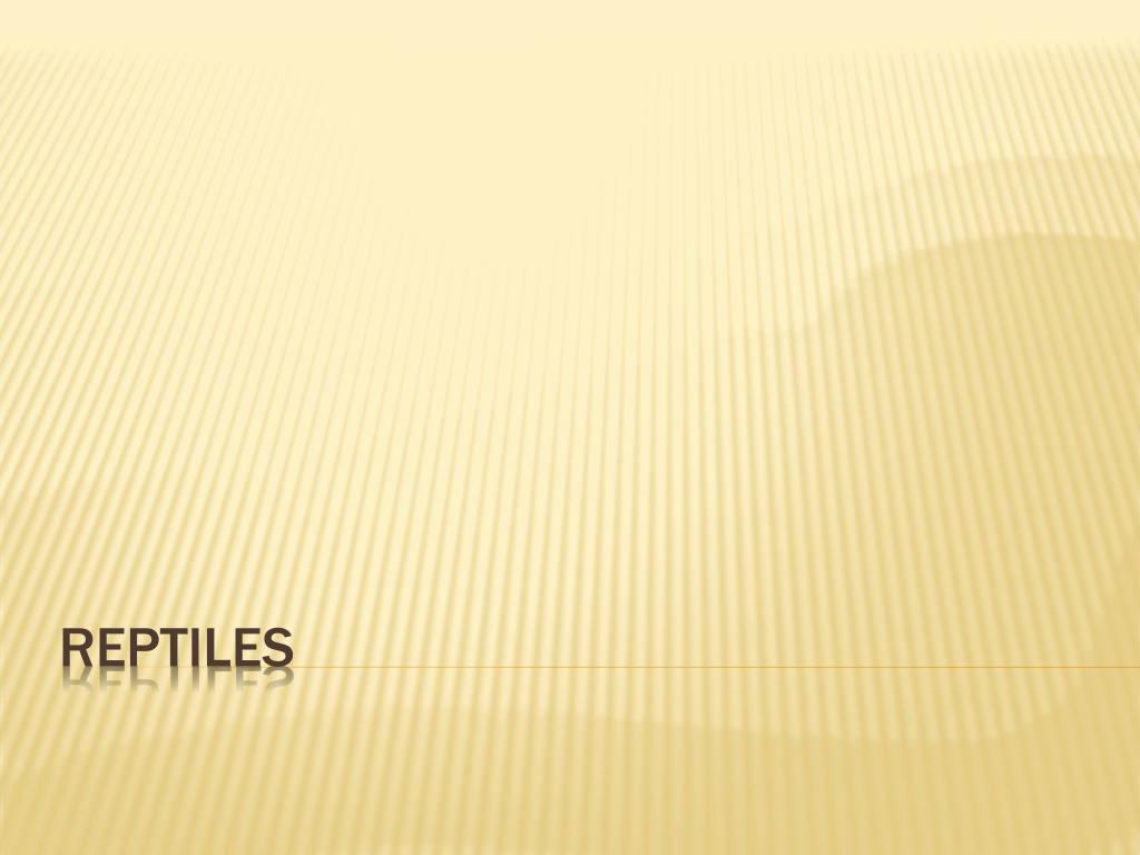 PPT - Reptiles PowerPoint Presentation, free download - ID:7066314