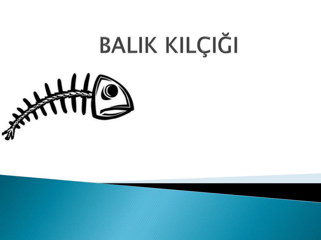 PPT - BALIK KILÇIĞI PowerPoint Presentation, free download - ID:7070971
