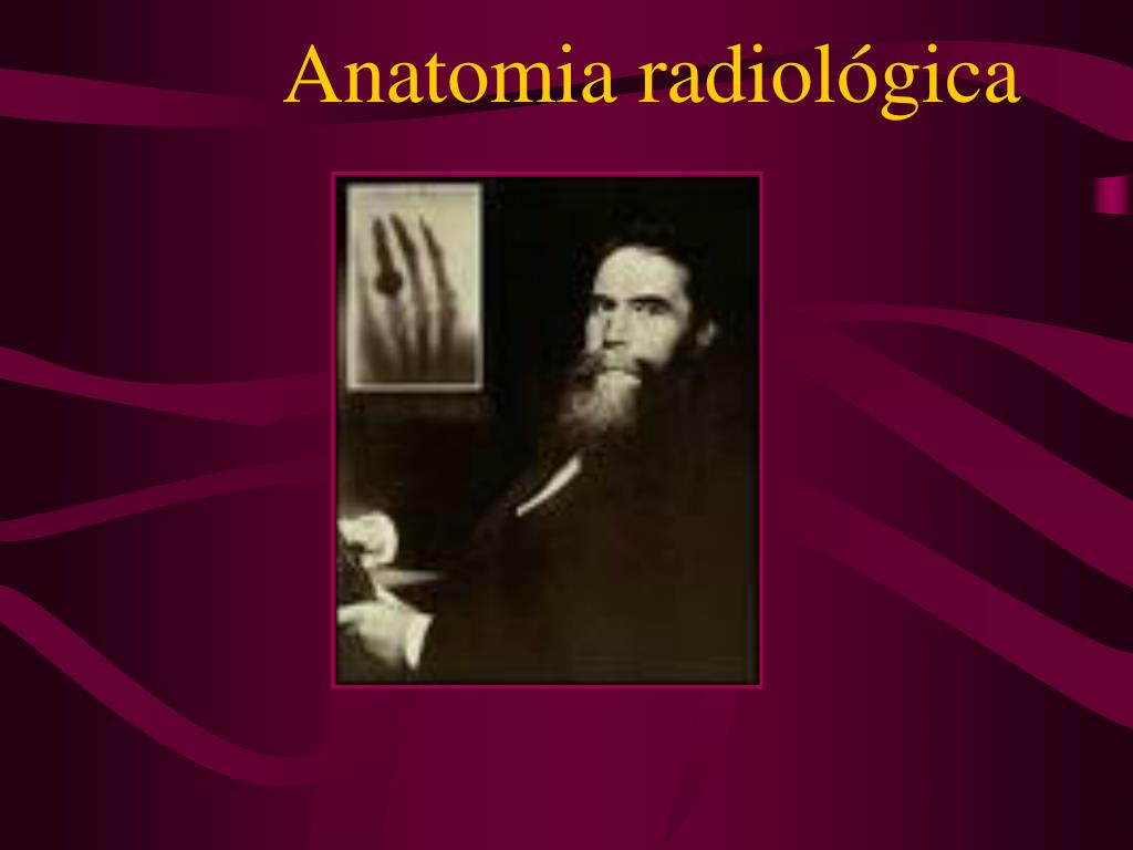 PPT - Anatomia radiológica PowerPoint Presentation, free download - ID ...