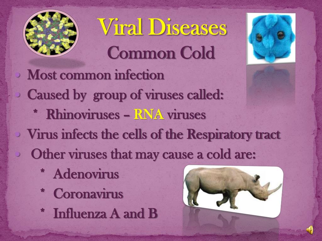 PPT - Viral Diseases PowerPoint Presentation, free download - ID:7074301