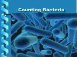 PPT - Methods of Counting Bacteria PowerPoint Presentation, free ...