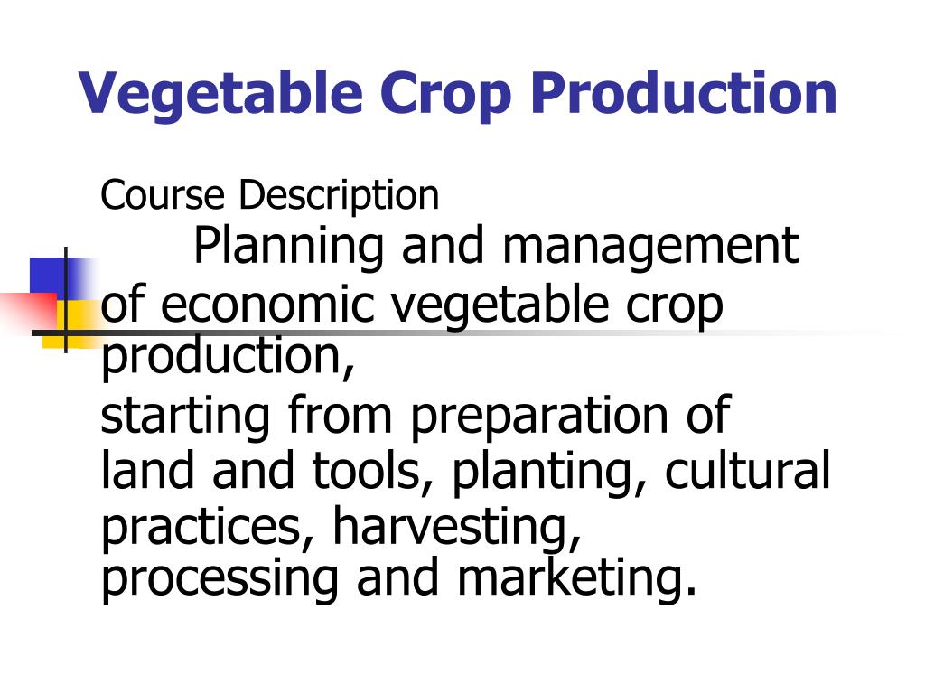 PPT - Vegetable Crop Production PowerPoint Presentation, free download ...
