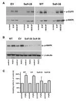 PPT - Sulf PowerPoint Presentation, free download - ID:4738626