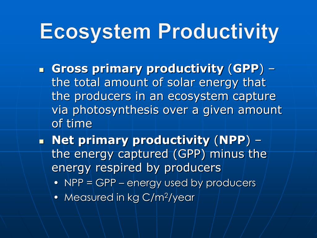 PPT - Ecosystem Productivity PowerPoint Presentation, free download ...