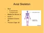 PPT - Axial Load and Axial Rigidity PowerPoint Presentation, free ...