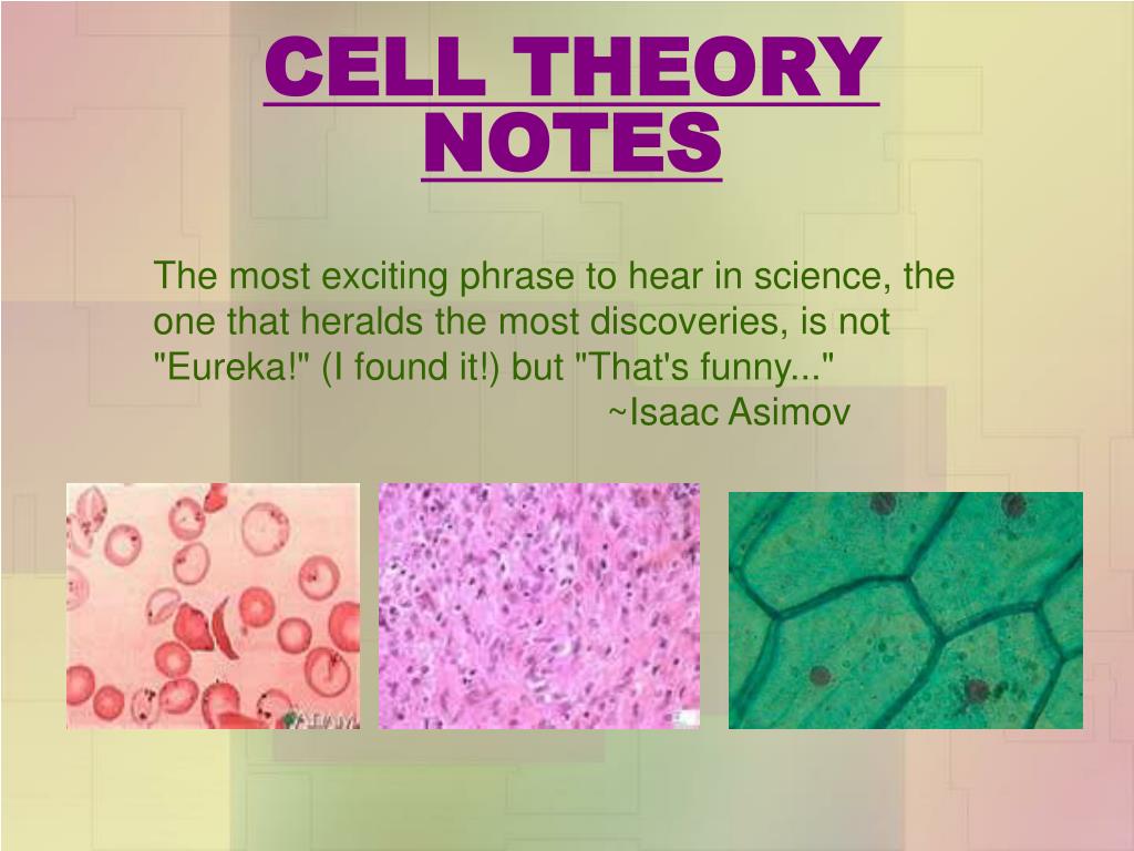 PPT - CELL THEORY NOTES PowerPoint Presentation, free download - ID:7092041