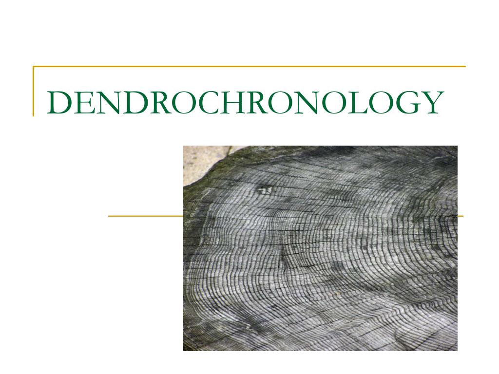 PPT - DENDROCHRONOLOGY PowerPoint Presentation, free download - ID:7097432