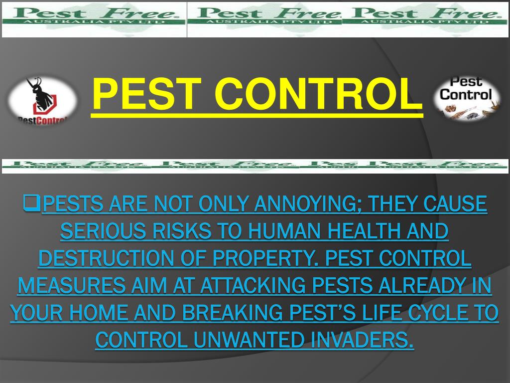 PPT - Pest Control PowerPoint Presentation, free download - ID:7113742