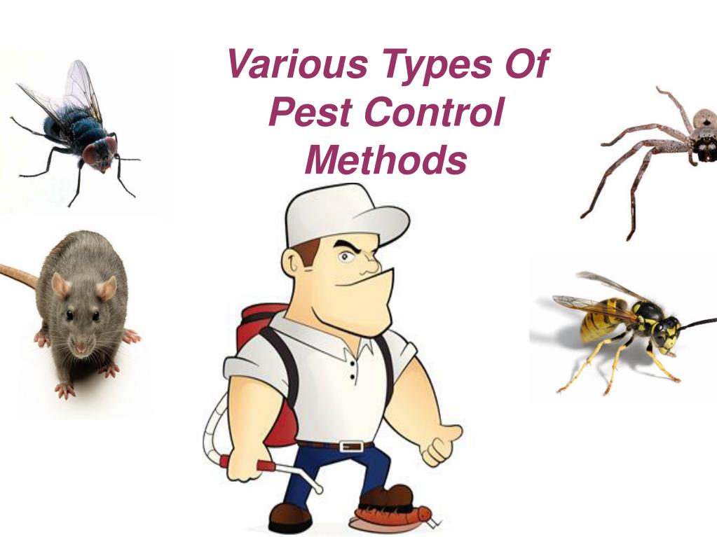PPT - Various Types Of Pest Control Methods PowerPoint Presentation ...