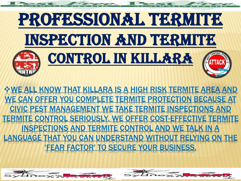 PPT - Professional Termite Inspection & Termite Control in Killara ...