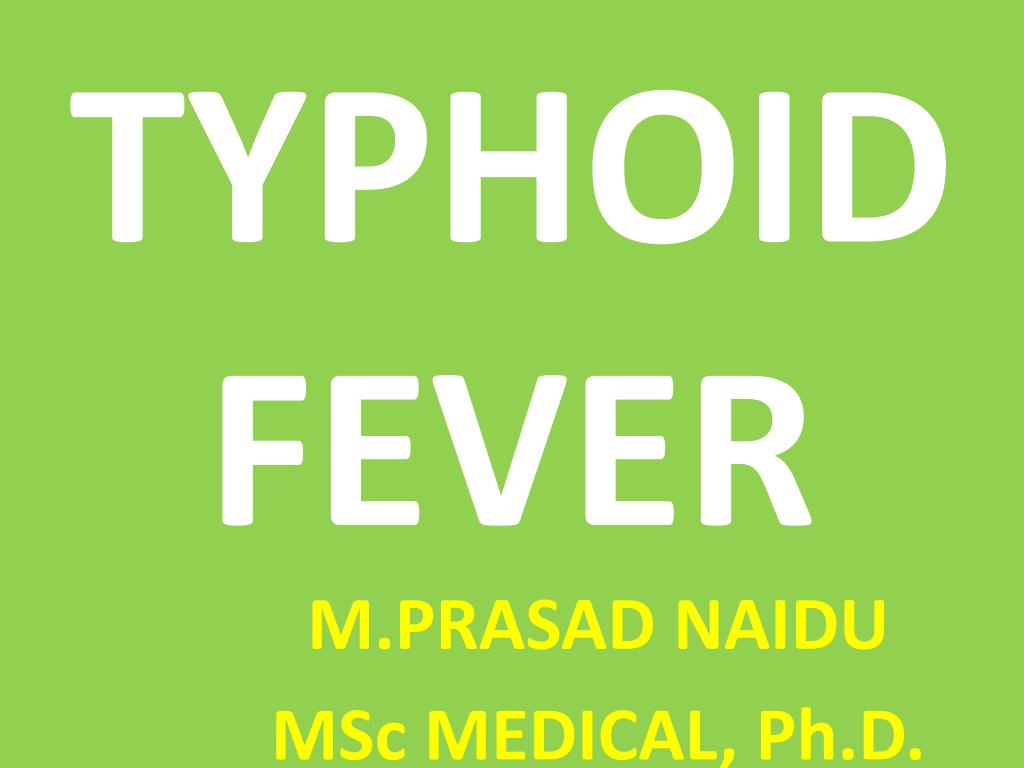 PPT - TYPHOID FEVER PowerPoint Presentation, free download - ID:7121301