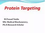 PPT - The pathways of protein targeting PowerPoint Presentation, free ...