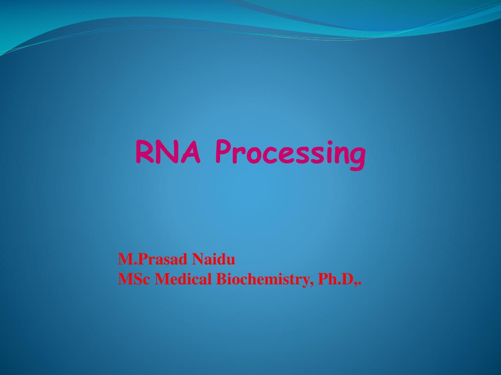 PPT - RNA PROCESSING EUKARYOTES PowerPoint Presentation, free download ...