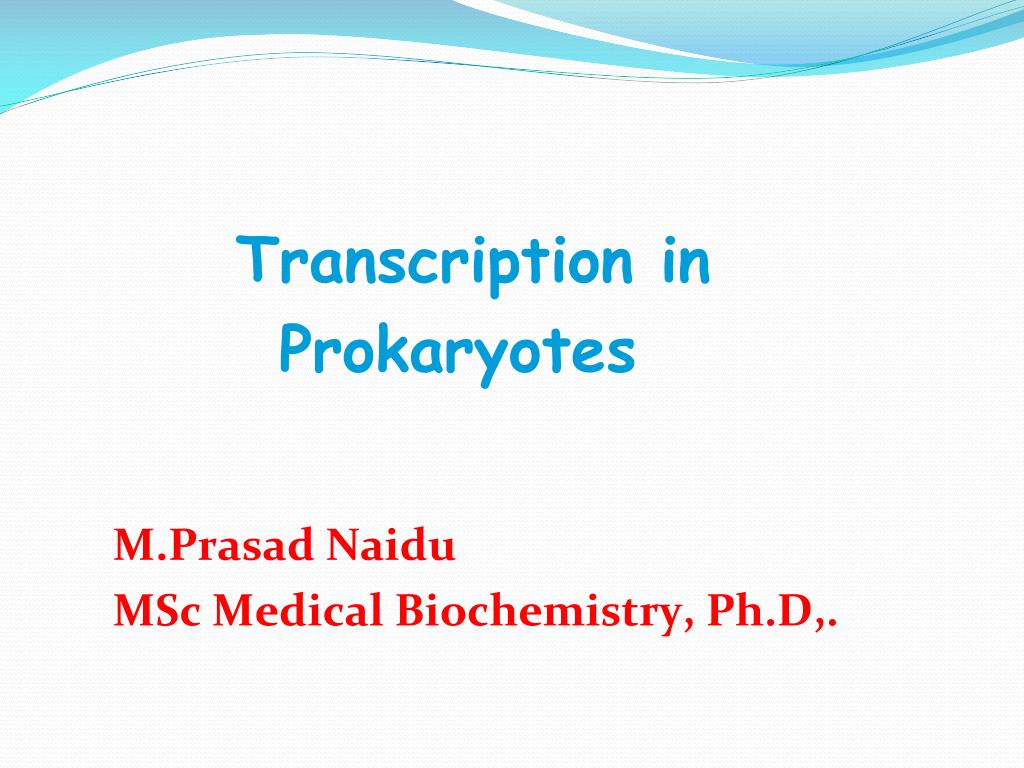 PPT - PROKARYOTIC TRANSCRIPTION PowerPoint Presentation, free download ...