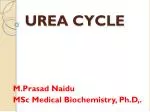 PPT - Urea Cycle PowerPoint Presentation, free download - ID:2240773