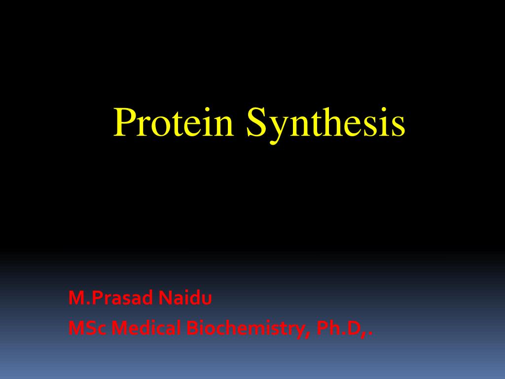 PPT - PROTEIN SYNTHESIS PowerPoint Presentation, free download - ID:7123103